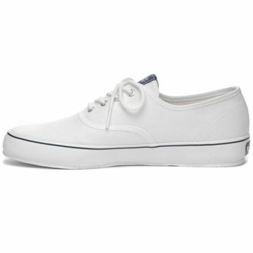 Sebago – Modern4U